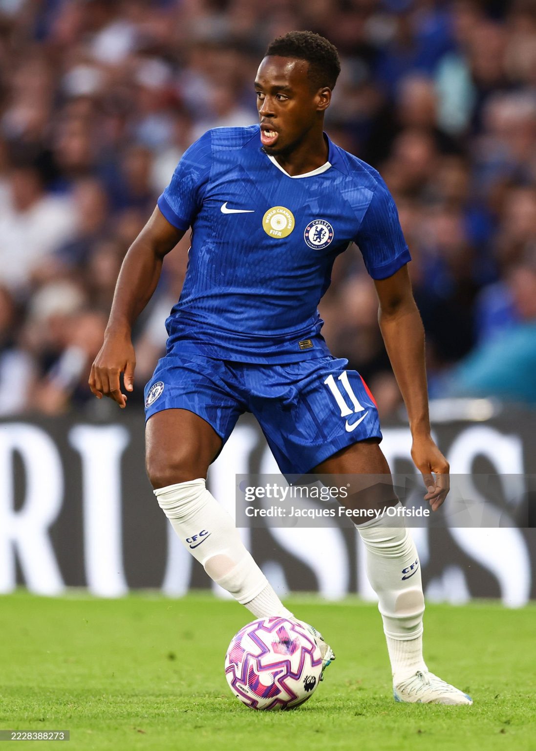 I feel settled already at Chelsea- Jamie Gittens - Citi Sports Online